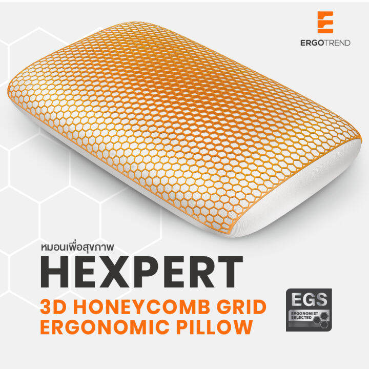 ERGOTREND หมอนเพื่อสุขภาพ Hexpert 3D Honeycomb grid ERGONOMIC PILLOW | Lazada.co.th