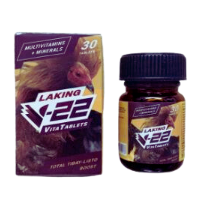 V-22 Tablet Multivitamins Minerals Tablets 30 tablets from belman ...