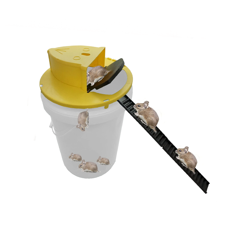 New Plastic Reusable Smart Mouse Rat Trap Plastic Bucket Lid Mousetrap ...