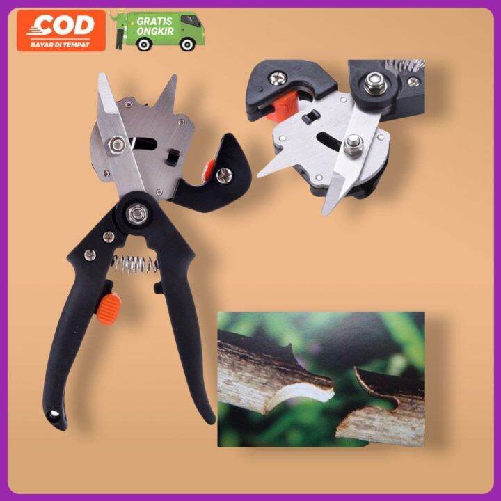 Gunting Tang Berkebun Grafting Pruning Tool Okulasi Stek Setek Sambung ...