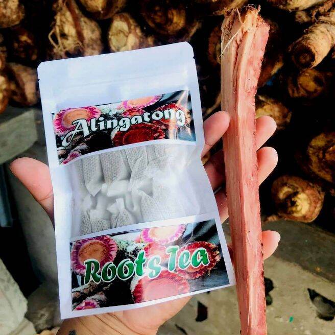 Alingatong Pure Roots Tea | Lazada PH