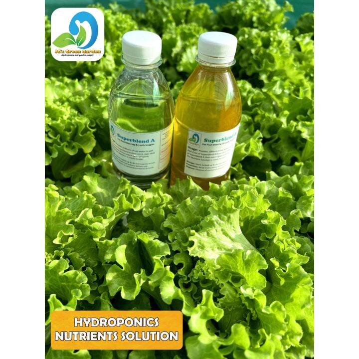 Hydroponics Nutrient Solution (1Pair of 500ml) SUPERBLEND/FOR ...