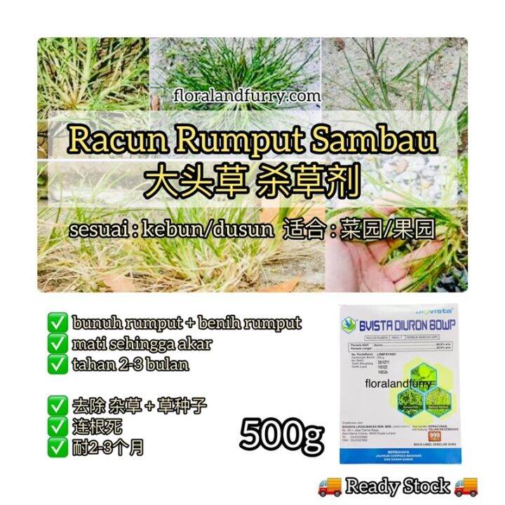 500g Diuron Racun Rumput Sambau & Benih Rumput Dusun Kebun Racun Rumpai ...