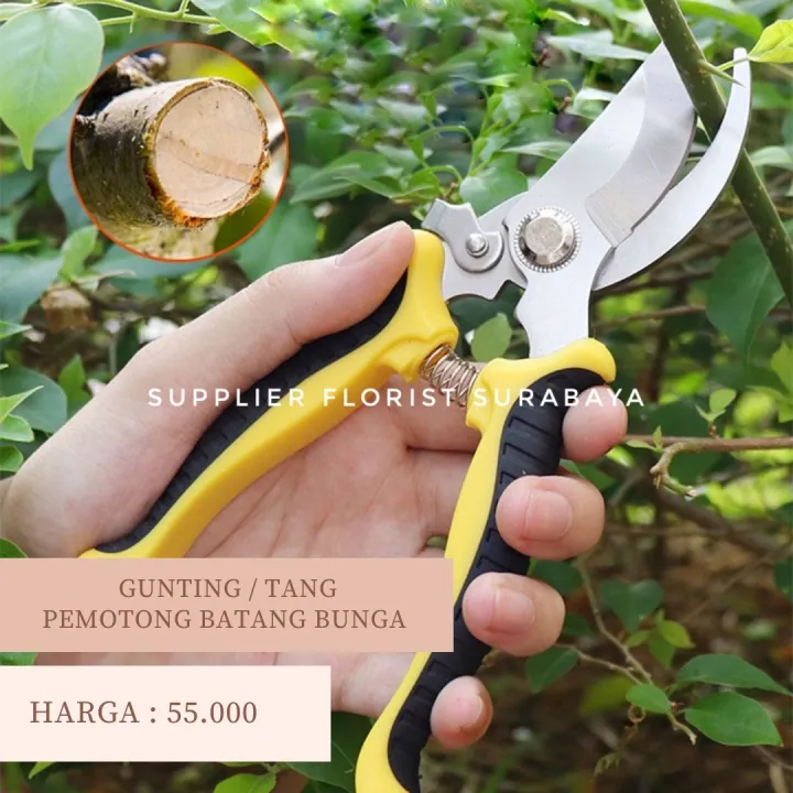 TANG GUNTING DAHAN POHON BATANG BUNGA ASLI PERLENGKAPAN PERKEBUNAN ...