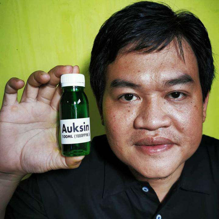 Hormon Tanaman Auksin 100ml Besar dan Panjangkan Akar Auxin IAA ...