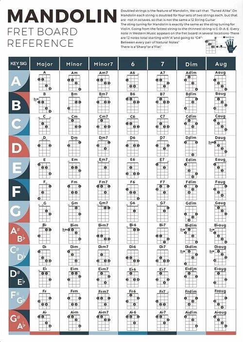 Mandolin Chord Chart Poster Music Theory Canvas Painting for Beginner ...