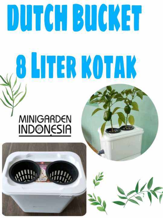 PAKET DUTCH BUCKET LENGKAP + 2 NETPOT MODEL KOTAK 2LUBANG +KNEE OUTPUT ...
