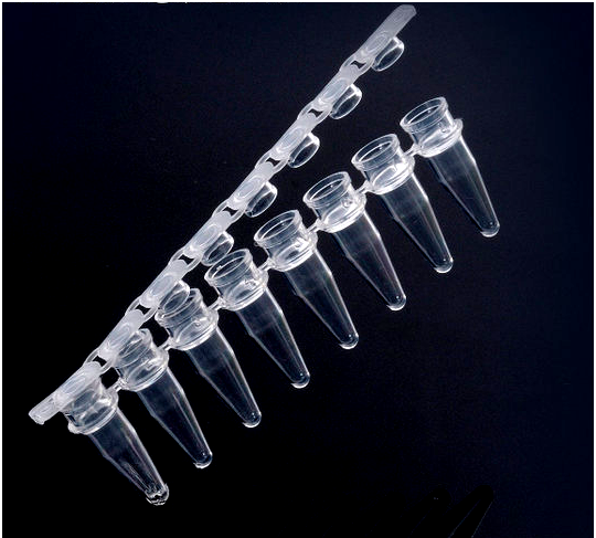 PCR Tube Strip for 0.2ml Tube and Lid Separate Packing (8-pc) | Lazada PH