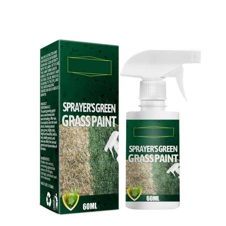 Green Grass Paint for Lawn 60ml Turf Paint Dye Spray Multifunctional ...