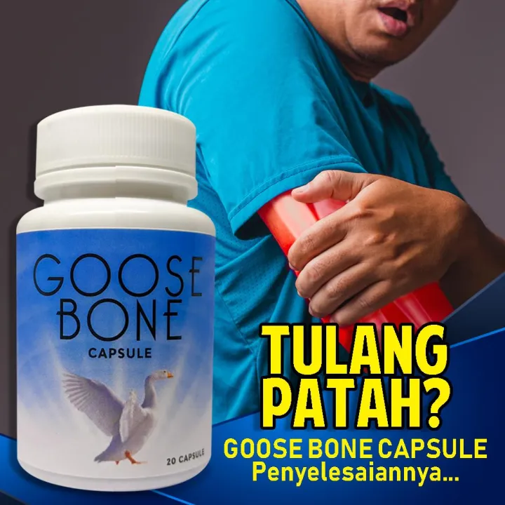Kapsul Tulang Angsa - Goose Bone ( 20 biji ) (100% Asli Tanpa Campuran ...