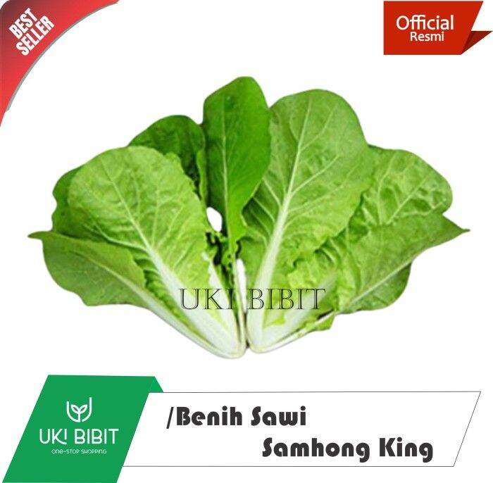 ( 130 Butir ) Benih Sawi Samhong King | Batang Putih | Lazada Indonesia