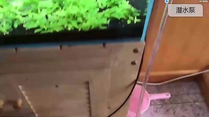 Aquarium Auto ATO Automatic Top Off System Dual Sensor Water Filler ...