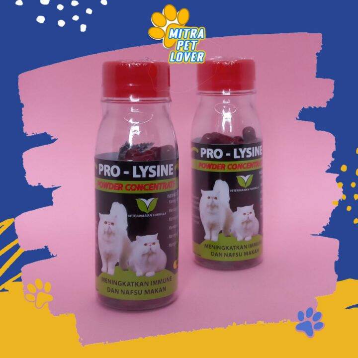 VITAMIN IMUN KUCING - PROLYSINE CAT 40 CAPS - KAPSUL SUPLEMEN UNTUK ...