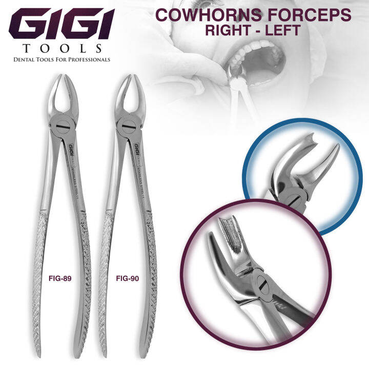 GIGI Tools Dental Forceps Tooth Extractions Cowhorn Forceps Set of 2 ...