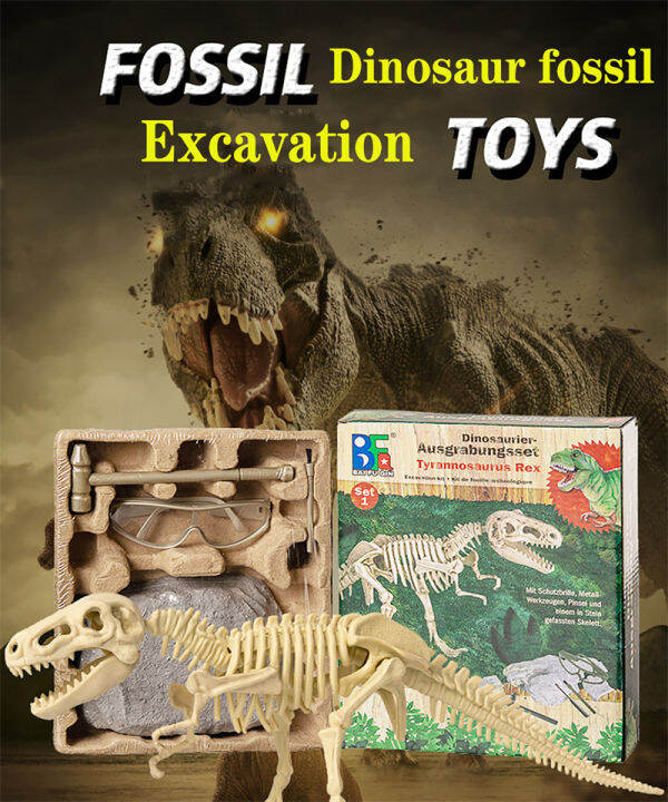 Archaeological Dinosaur Fossil Skeleton Model Children's Toy ...