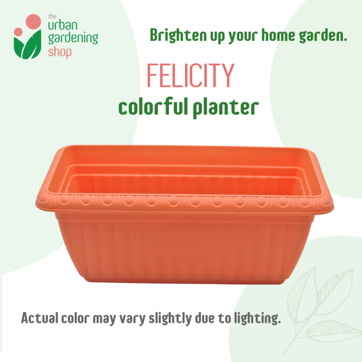 FELICITY Herbs & Veggie Planter - Ideal for Indoor and Outdoor Potted ...