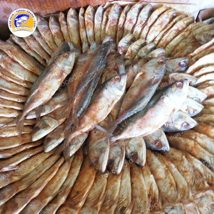 Ikan Asin Peda Merah | Lazada Indonesia