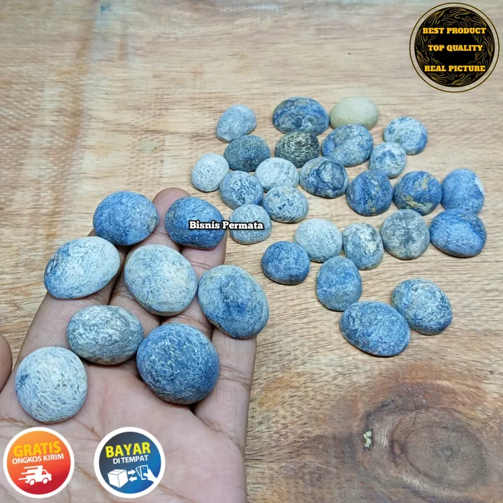 Batu Anti Wisa Serap Racun Batu Upas Anti Wisa Anti Racun | Lazada ...