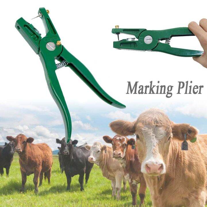 RUMI Green Useful for Swine Cow Sheep Rabbit Farm Animal Identification ...