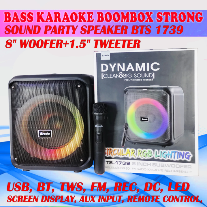 Brudo BTS-1739 bluetooth karaoke speaker with RGB dynamic lighting ...