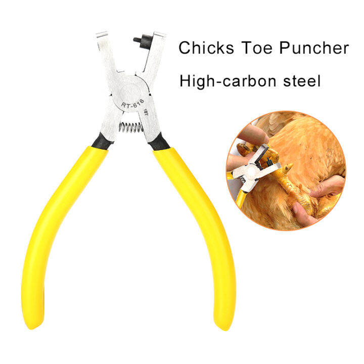 2mm Stainless Steel Toe Puncher Chicks Toe Puncher for Chicken Gamefowl ...