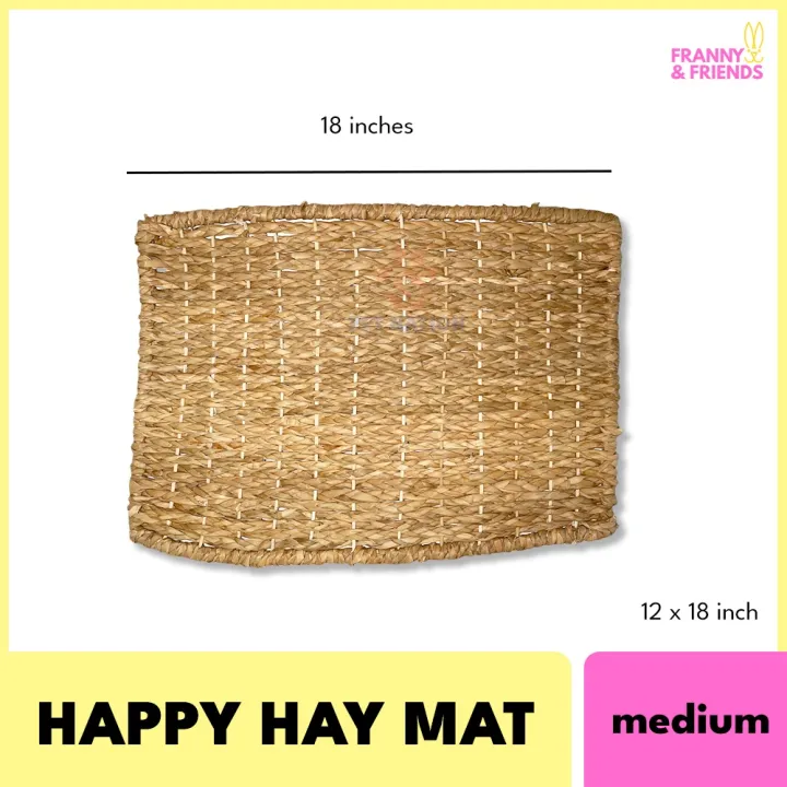 FRANNY'S RABBIT HAPPY HAY MAT Rabbit Hay Mat Guinea Pig Hay Mat Large ...