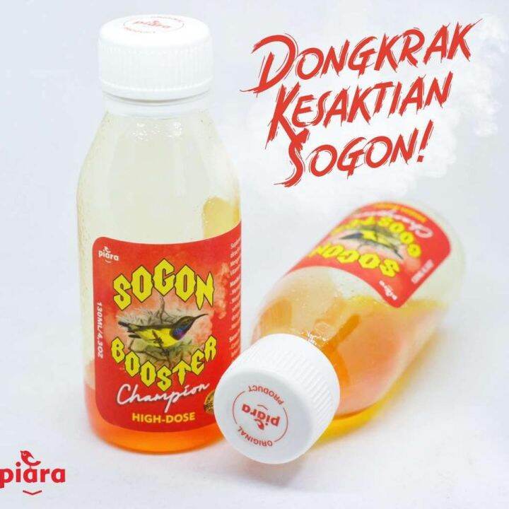 SOGON BOOSTER CHAMPION DOPING BURUNG SOGON KONIN SOGOK ONTONG PLECI ...