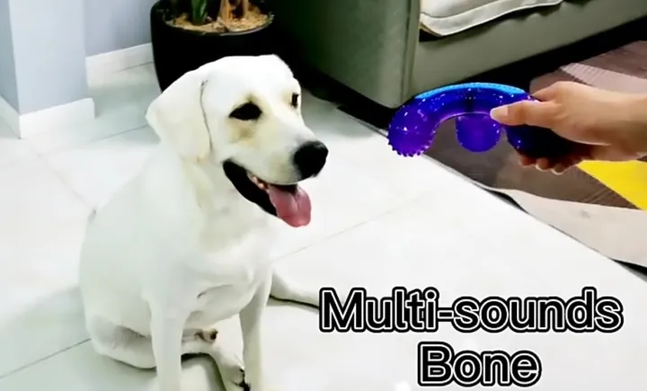 ของเล่นสุนัข GiGwi รุ่น Multi-sounds (M) กระดูก 3 เสียง | Lazada.co.th