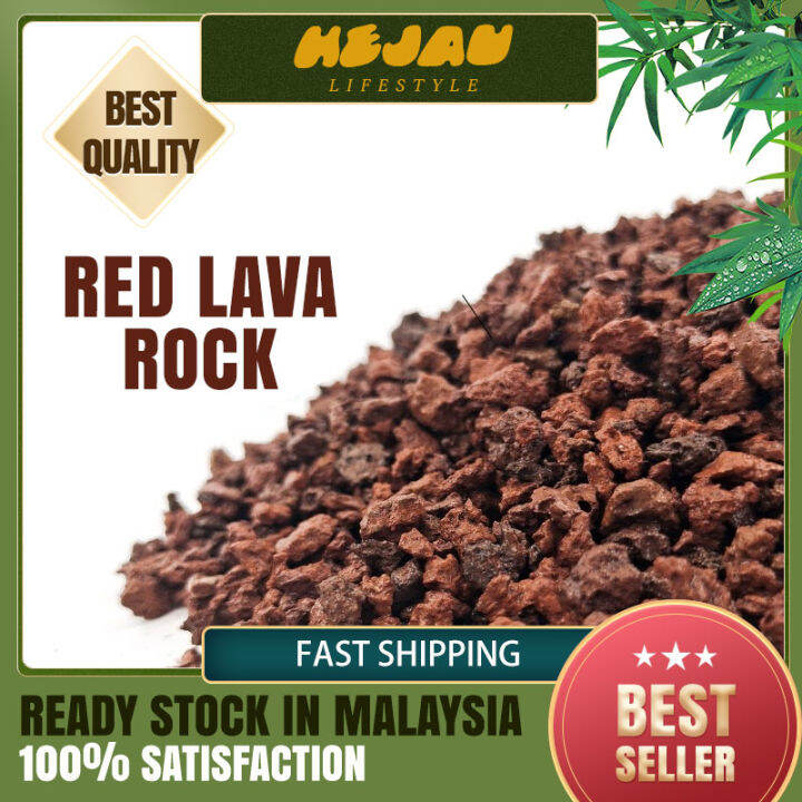 【24H SHIP OUT】Aquarium Red Lava Rock Filter Media /Succulent Volcano ...