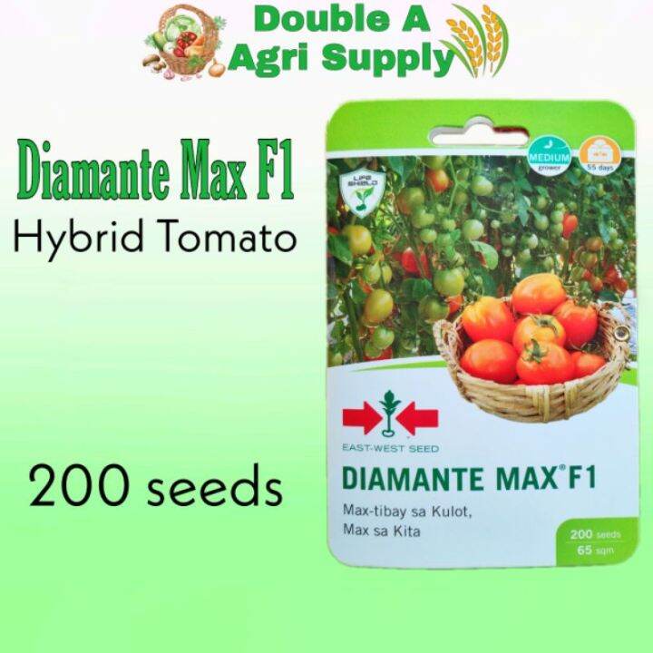 Diamante Max F1 Hybrid Tomato Grow Pack - East West Seed | Lazada PH
