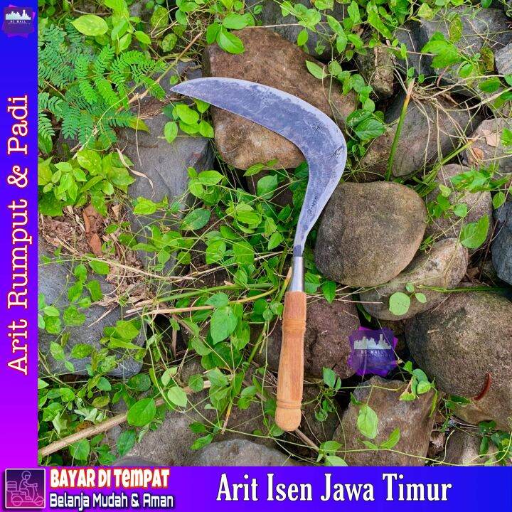 Arit Rumput Padi Isen Baja Asli Super Tajam Arit Isen Jawa Timur Kualitas Terbaik | Lazada Indonesia