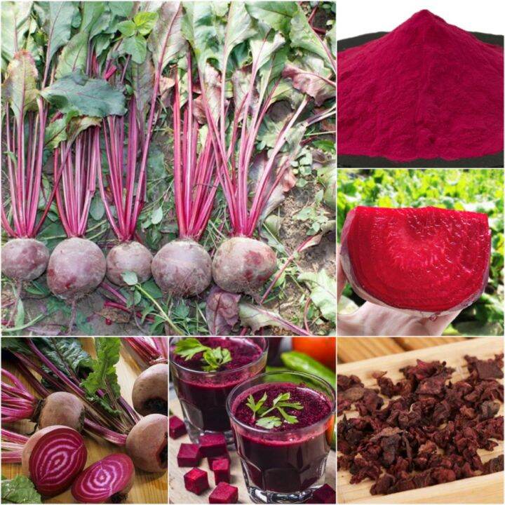 K-S Big Sale!100% Original Red Beet Seeds Contains 150 Seeds High ...