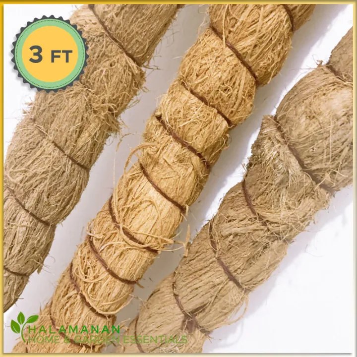 COCO POLE 3 FT - COIR TYPE (COCO HUSK/BUNOT) FOR INDOOR TRELLING PLANT ...
