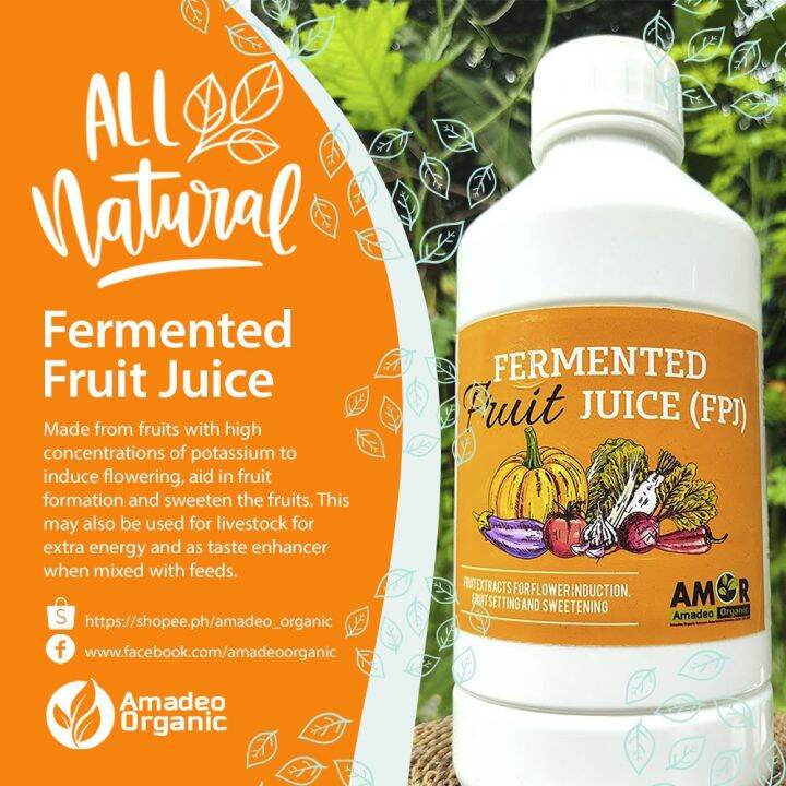 【Ready Stock】 1 LITER Fermented Fruit Juice (FFJ) - 1 Liter Organic ...
