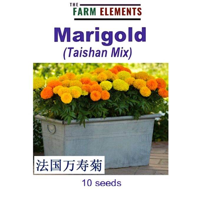 Wellgrow Marigold Taishan Mixture (10 seeds) WHT- 法国万寿菊：泰山系列 (混色） Biji ...