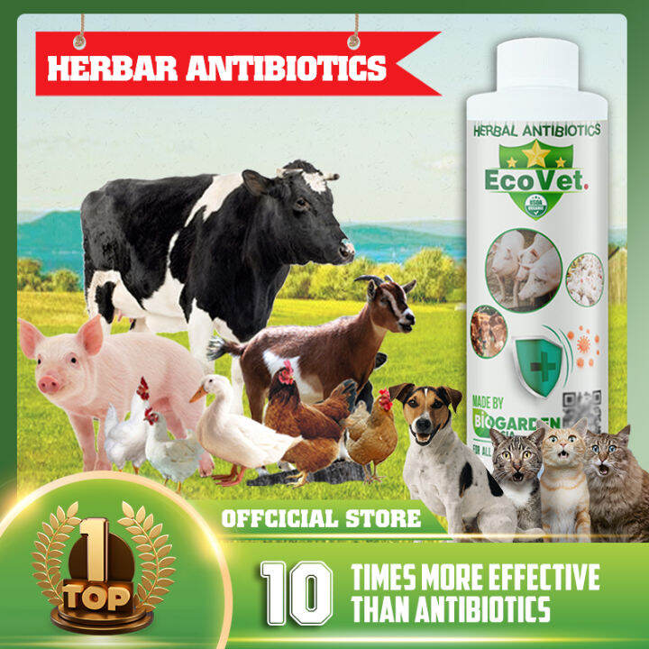 Ecovet - Serbuk Tambahan Probiotik, Nutrien Penting untuk Ternakan ...
