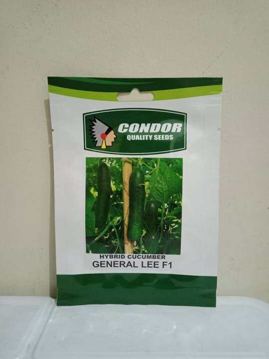 CONDOR Hybrid Cucumber General Lee F1 seeds POUCH | Lazada PH