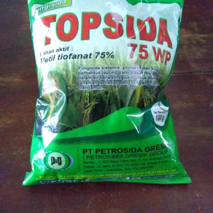 Topsida 75WP 100 Gram Obat HAwar Daun Blast dan Bercak Batang Bintang ...