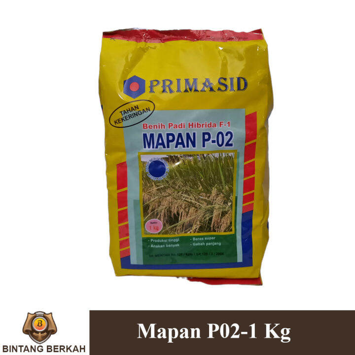 Mapan 02 Benih Padi Hibrida Mapan 02 1 Kg Pertanian | Lazada Indonesia