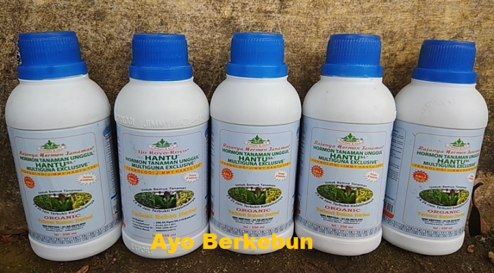 Pupuk Hantu / pupuk jimmy hantu 250 ml / pupuk organik jimmy hantu ...