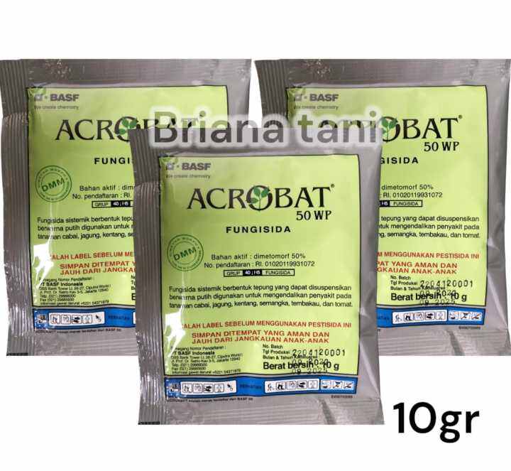 Fungisida Acrobat 50WP 10gram dimetomorf 50% Mengendalikan Busuk Pada ...