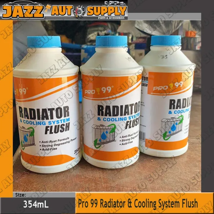 Pro99 Radiator & Cooling System Flushing – 354mL | Lazada PH
