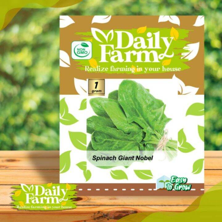 Benih Spinach Giant Nobel - Bibit Bayam Jepang - Daily Farm | Lazada ...