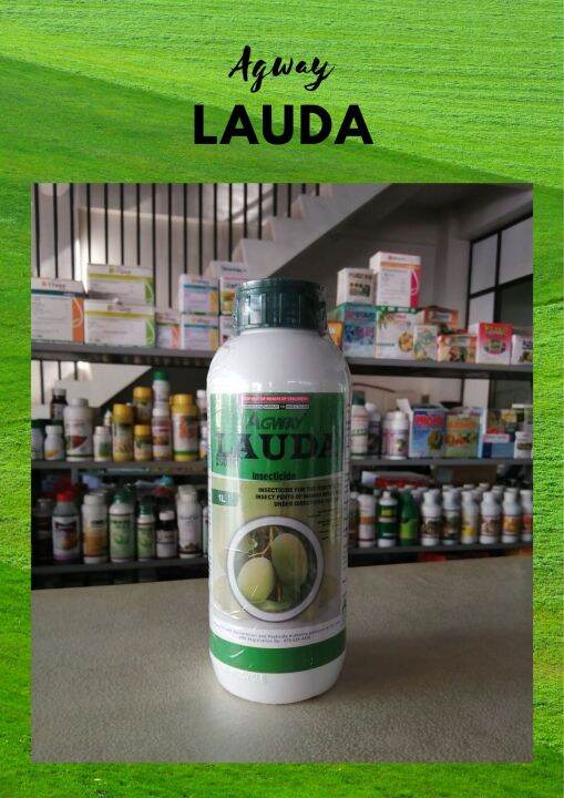 Agway LAUDA Insecticide Liter | Lazada PH