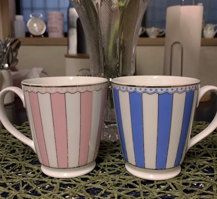 NORITAKE Porcelain Pair Mugs | Lazada PH