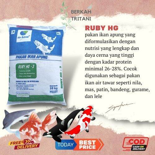 Ruby HG (5kg) Pakan Ikan Konsumsi Protein 26-28% | Lazada Indonesia