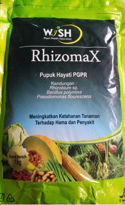 Pupuk PGPR (Rhizomax) | Lazada Indonesia