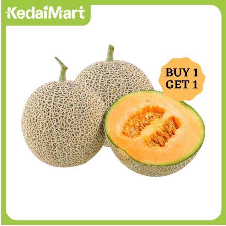 Melon Fujisawa Grade B Pcs Buy 1 Get 1 FREE | Lazada Indonesia