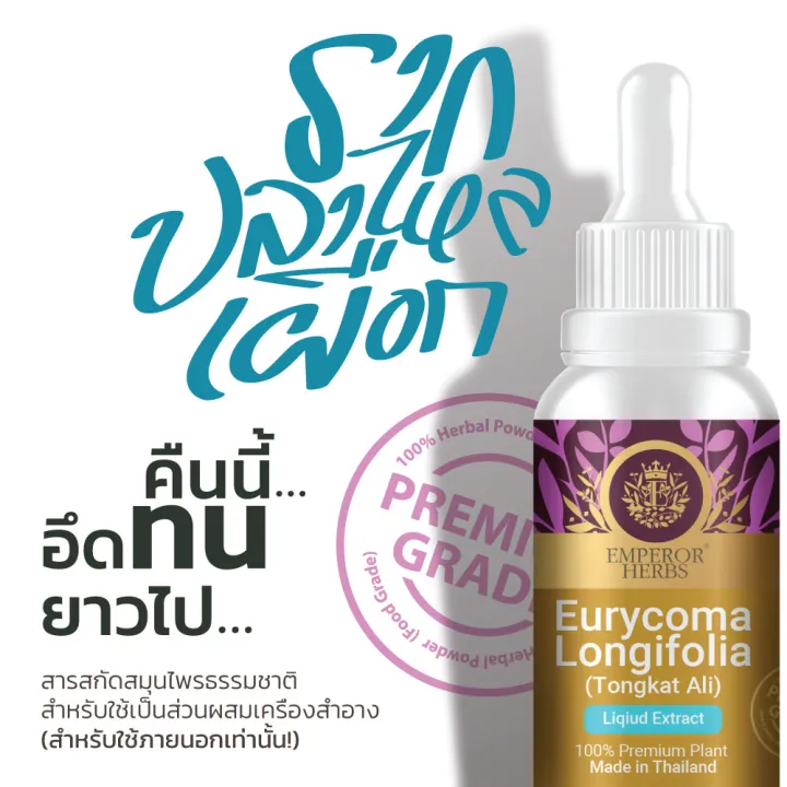 รากปลาไหลเผือก สารสกัดสมุนไพรธรรมชาติ Eurycoma Longifolia, Tongkat Ali ...