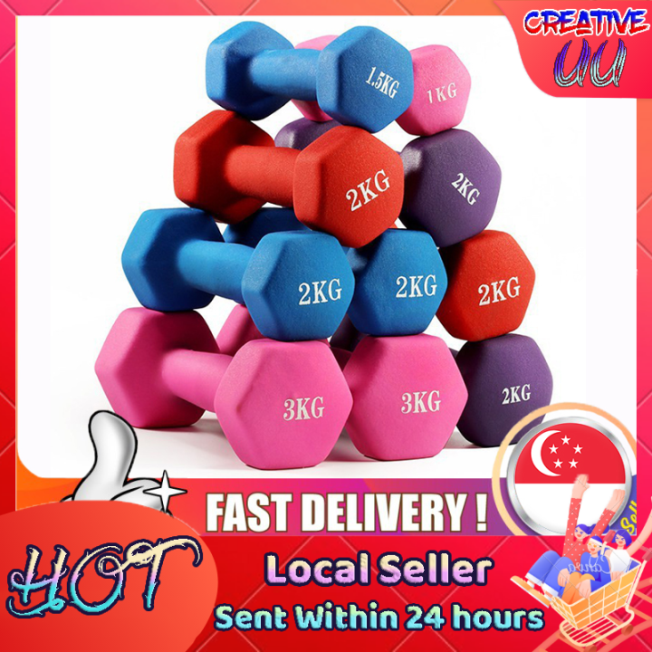 🔥【SG Ready Stock】🔥 Neoprene Material Dumbbells Light Weight Mini 1 pair | Lazada Singapore